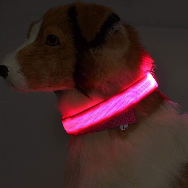Buy Nylon Led Pet Dog Luminous Collar Night Safety Flashing Glow In ...