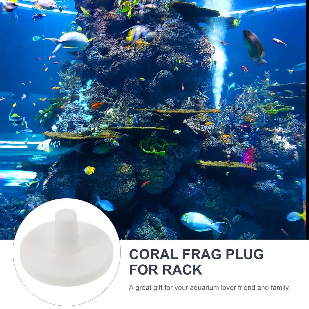 Buy 2Pcs Coral Frag Plugs Ceramic Coralline Frag Bases Trays Fish Tank ...
