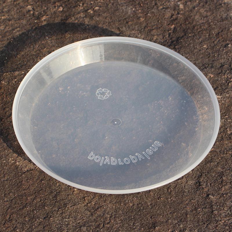 Buy Portable Transparent Dishes Plates Fruit Plate Thickened Deepened ...