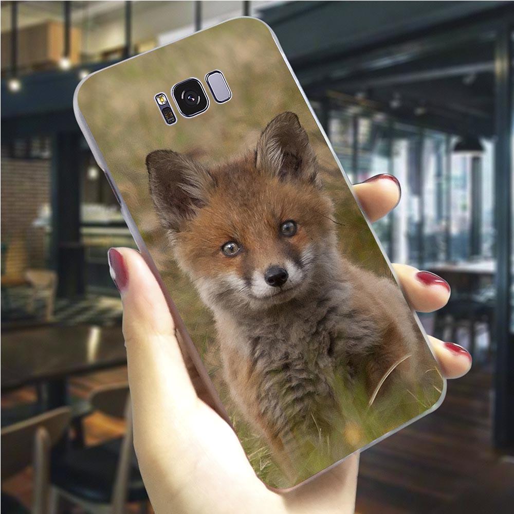 Buy Cute Little Fox Phone Case For Galaxy S6 Note 9 M10/M20/M30 Hard ...