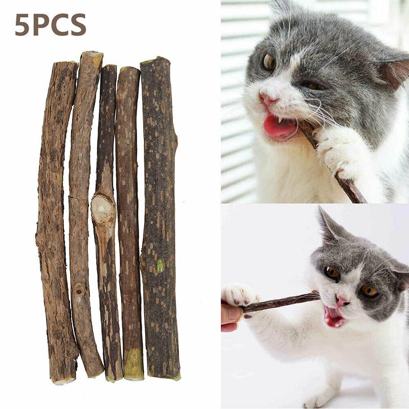 Buy Idh 5pcs Cat Chew Sticks Catnip Snack Silvervine Dental Molar ...