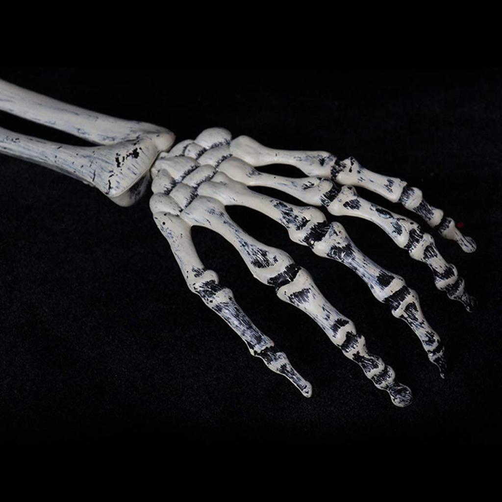 Buy Halloween Skeleton Bones Decor - Spooky Creepy Horror Realistic ...