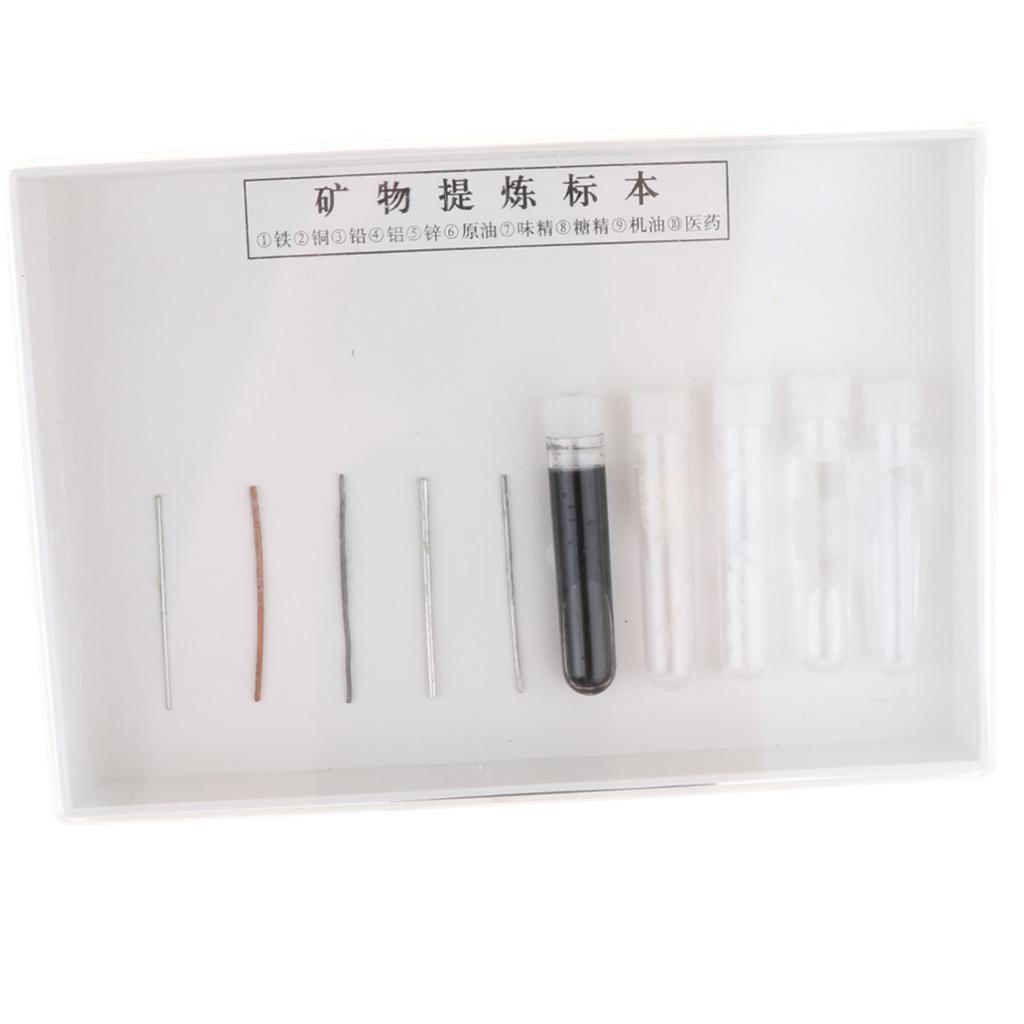 Buy Set of 10 Nature Extract Specimens Collection Kit Kids Science ...