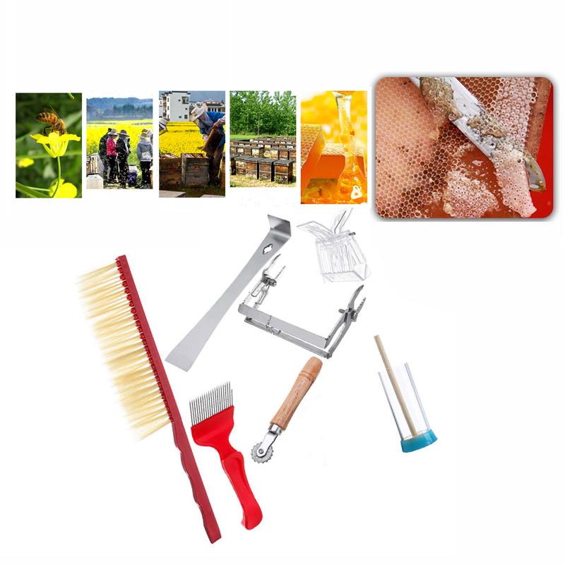 Buy 7 In 1 Bee Tool Scraper Practical Equipment Tamer Beekeeping Set ...
