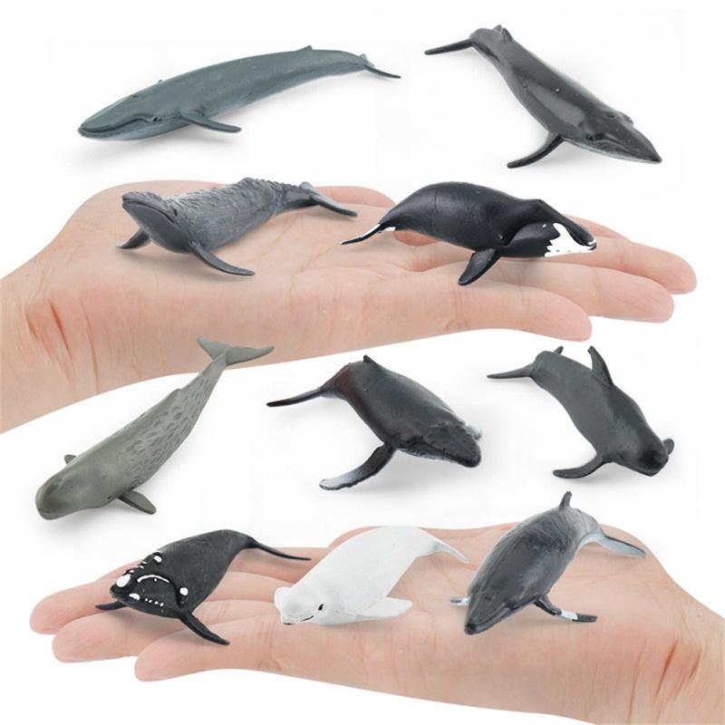 Buy Simulation Marine Sea Life Whale Figurines Beluga Humpback Whale ...