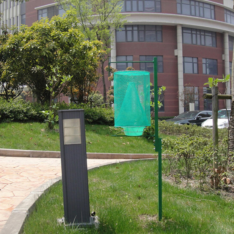 Buy Reusable Killer Cage Net Trap Green Flycatcher Practical Insert Bug ...