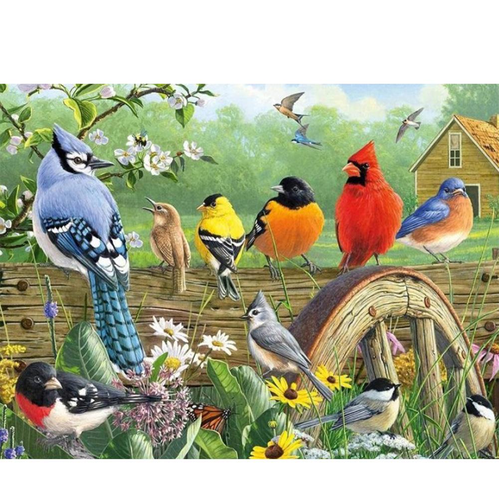 Buy 5D DIY Birds World Full Round Diamond Painting Kit Picture Craft ...