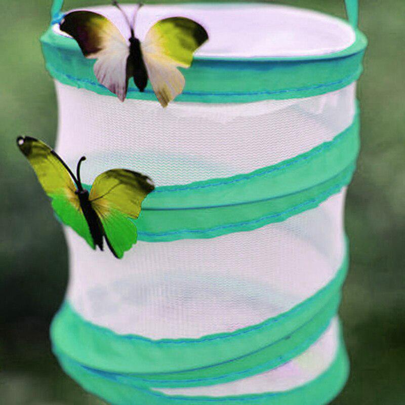 Buy Cage Insect Cage Enclosure Small Bug Folded Habitats Educational ...