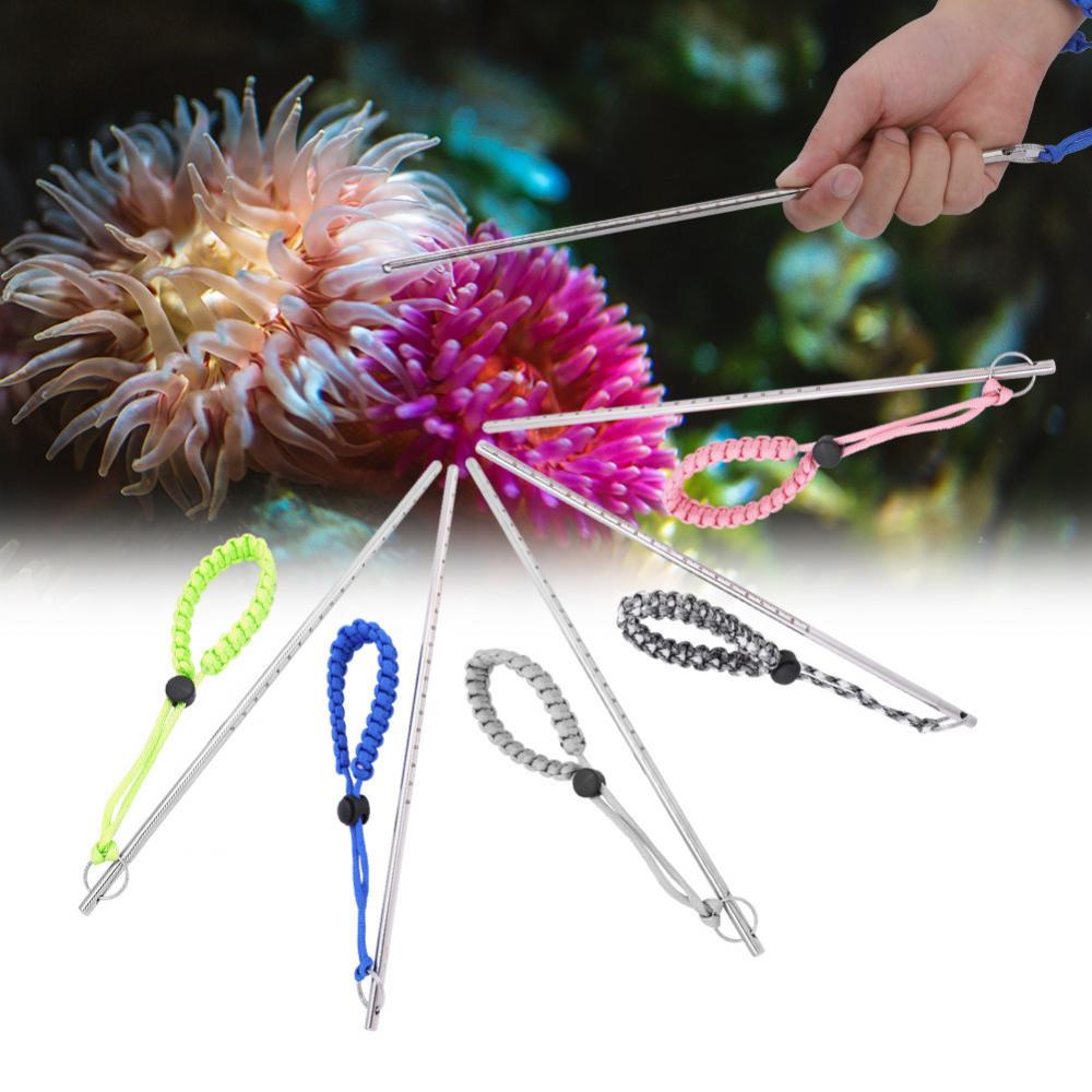Buy Stainless Steel Scuba Diving Noise Maker Stick Rod Pointer with ...
