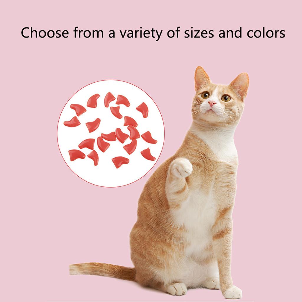 Buy Insky 20PCS Scratch Prevention Cat Nail Caps Pet Supplies Give 1 ...