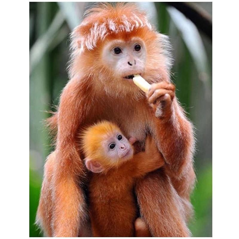 Cheap 5D Diy Diamond Painting Monkey Full Square Round Mosaic Handmade ...