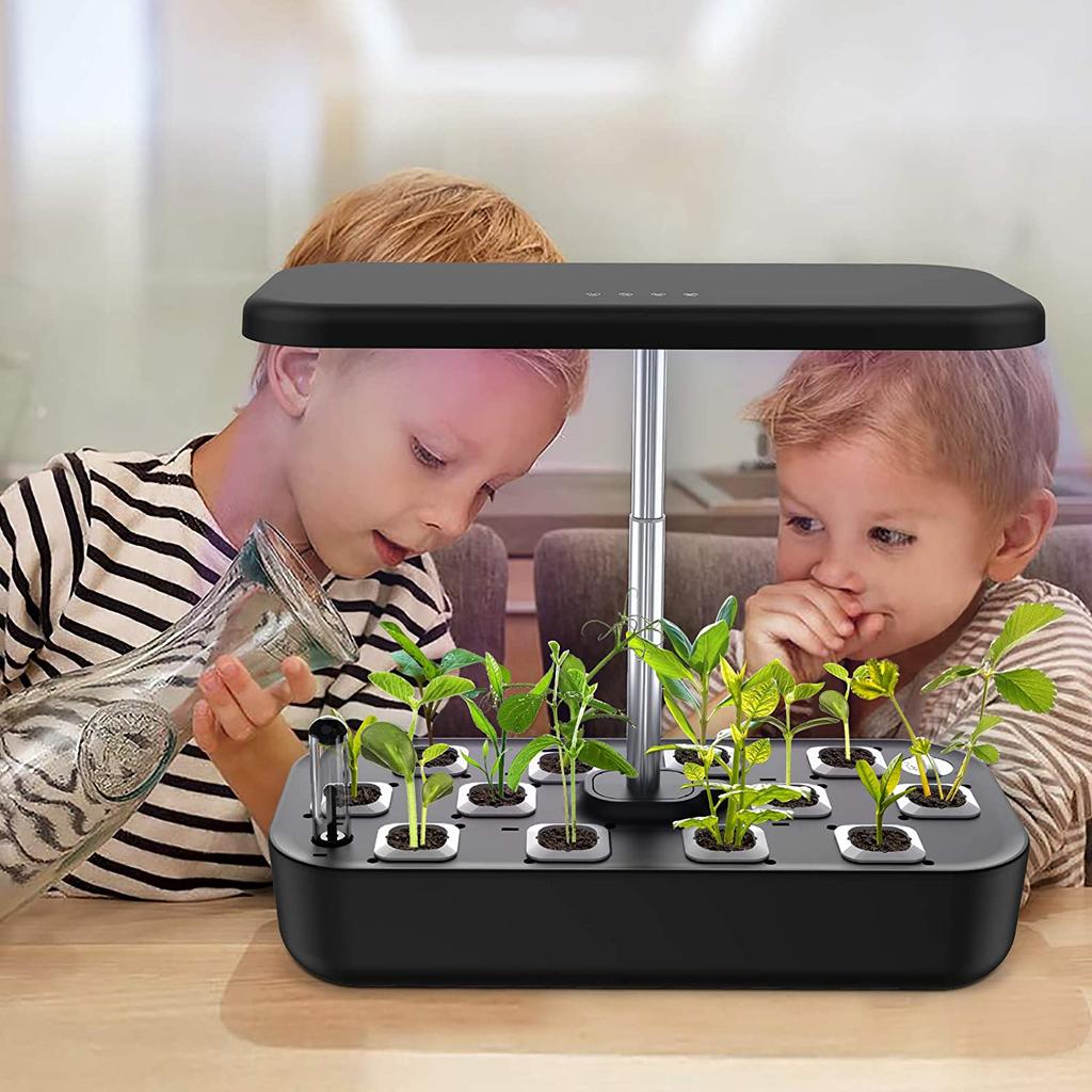 Buy Hydroponics Growing System 12 Pods Indoor Garden, Smart Herb Garden ...
