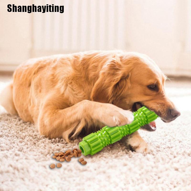 Buy Pet Toyspet Productsdog Toys Leaky Stick Ptr Toys at affordable ...