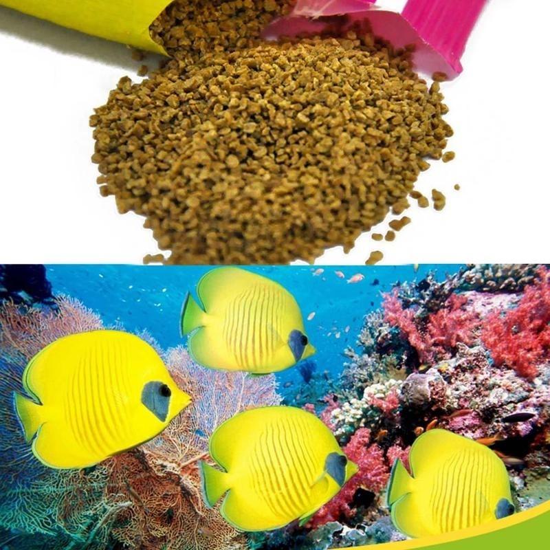 Buy Aquarium Ornamental Fish Feed Tropical Fish Food Guppies Small Fish ...