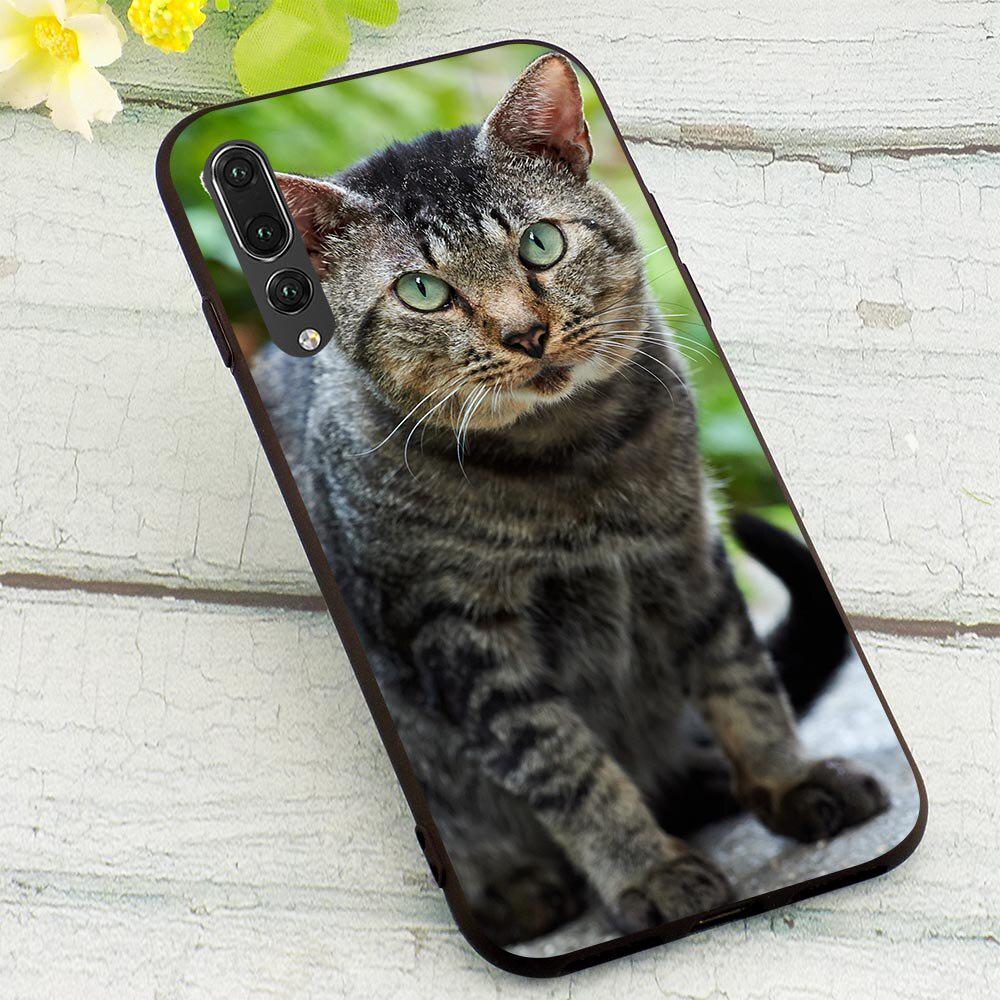Buy Cat Phone Case for Huawei Y6 2018 6A 7A 8 9 10 Lite 20 9X Pro Y7 Y9 ...