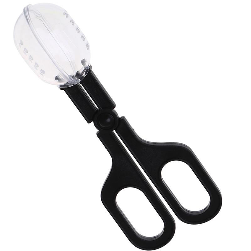 Buy Reptile Tortoise Lizard Frog Spider Clip Transparent Clip Cleaning ...