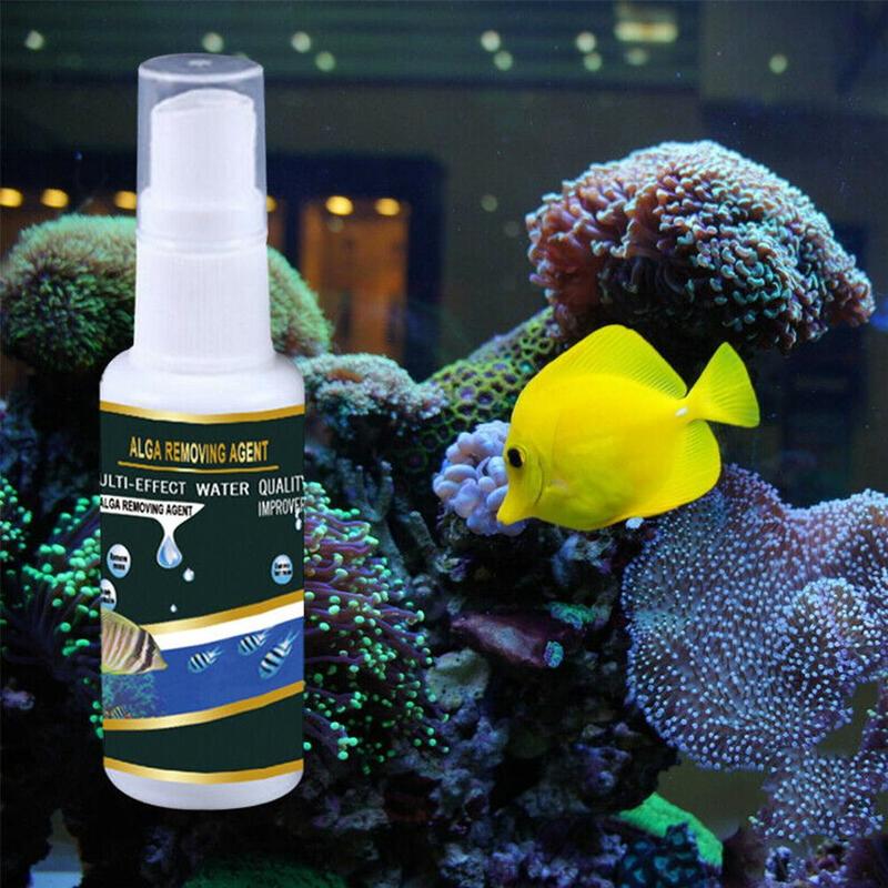 Buy New Swimming Pool Cleaning Fish Tank Algaecide Removal Ghrelin ...