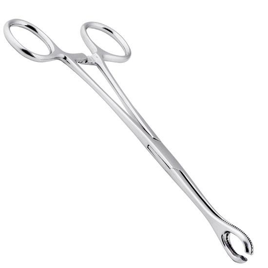 Buy PRO Sponge Clamp-Slotted Forceps Septum 316L Surgical Body Piercing ...