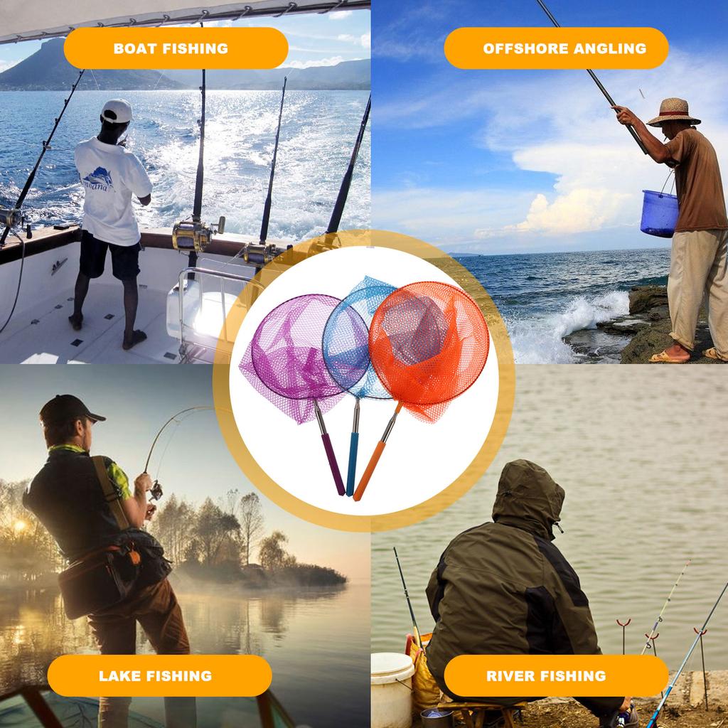 Buy 3pcs Professional Insect Net Butterflies Catching Net Retractable ...