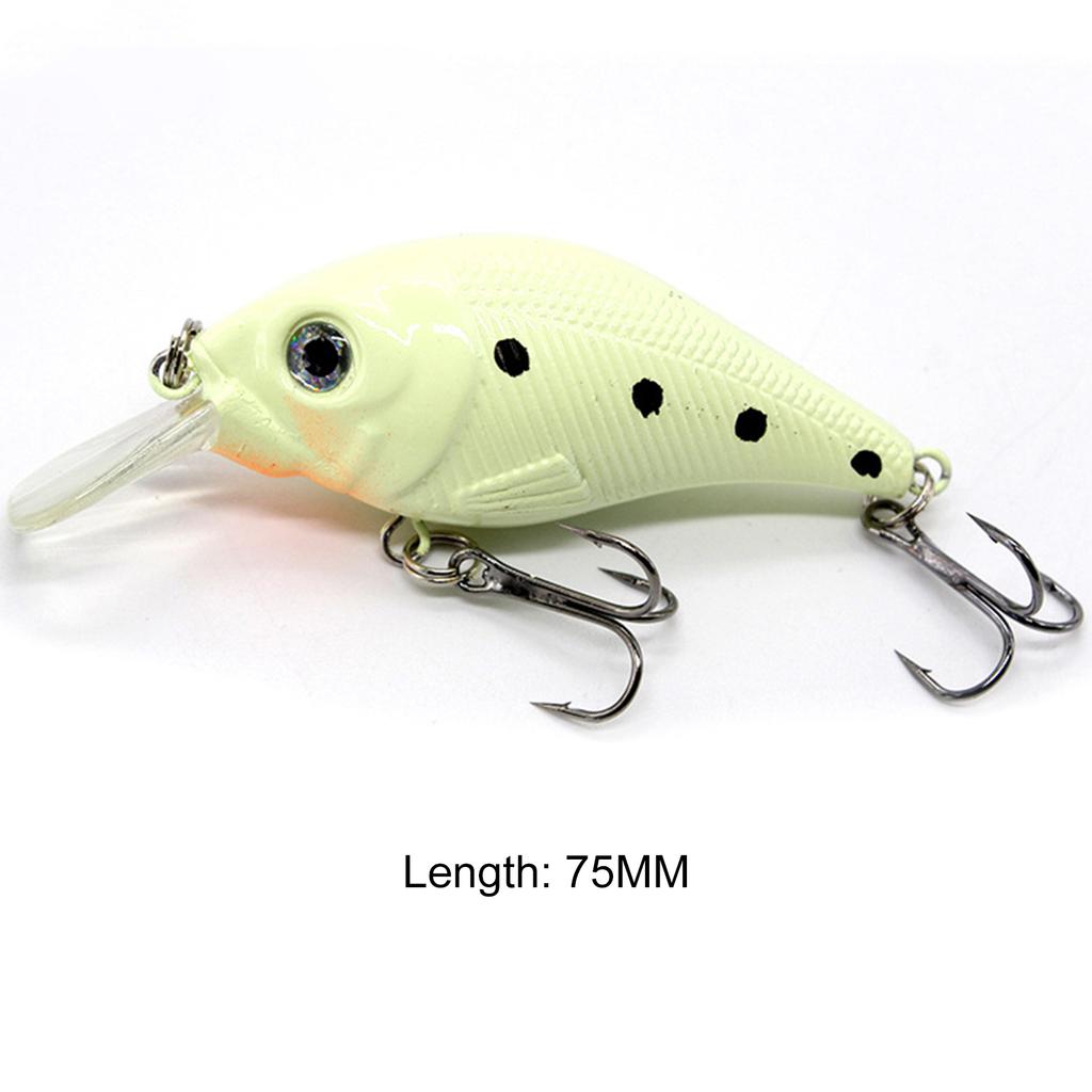 Buy 5Pcs Night Fishing Lures Kit Luminous Artificial Wobblers Hard ...