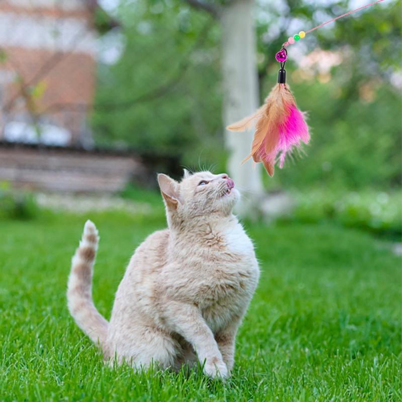 💰Kaufe Cat Teasing Stick Kitten Interactive Toys Cat Teaser Wand Cat ...