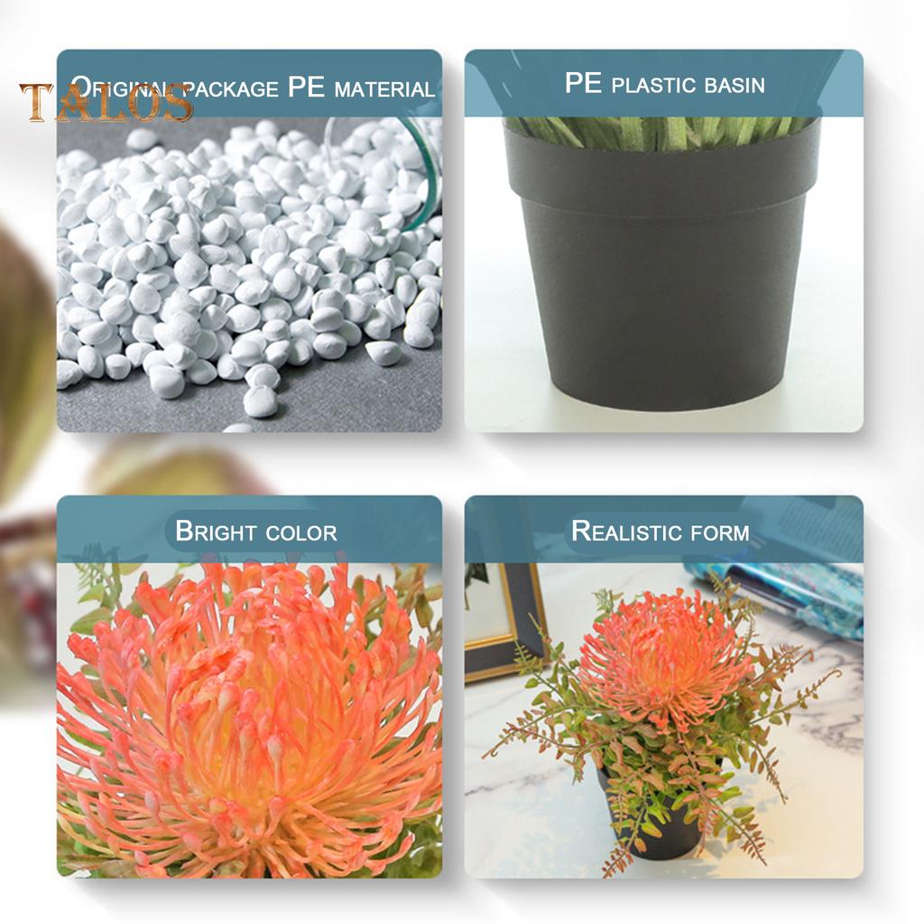 Buy TK Potted Artificial Protea Flower Bonsai Stage Office Garden ...