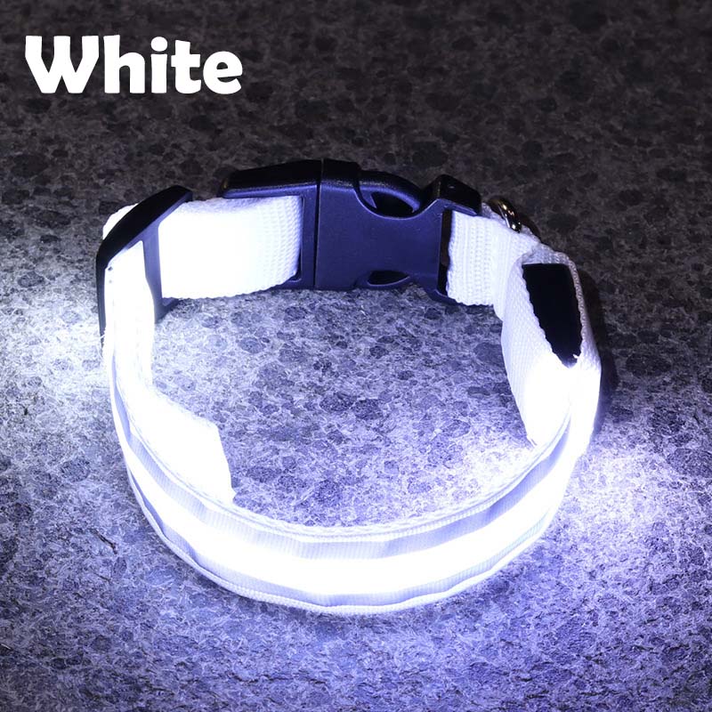 Buy Anti-Lost LED Illuminated Dog Collar Pet Products Walking Dog at ...
