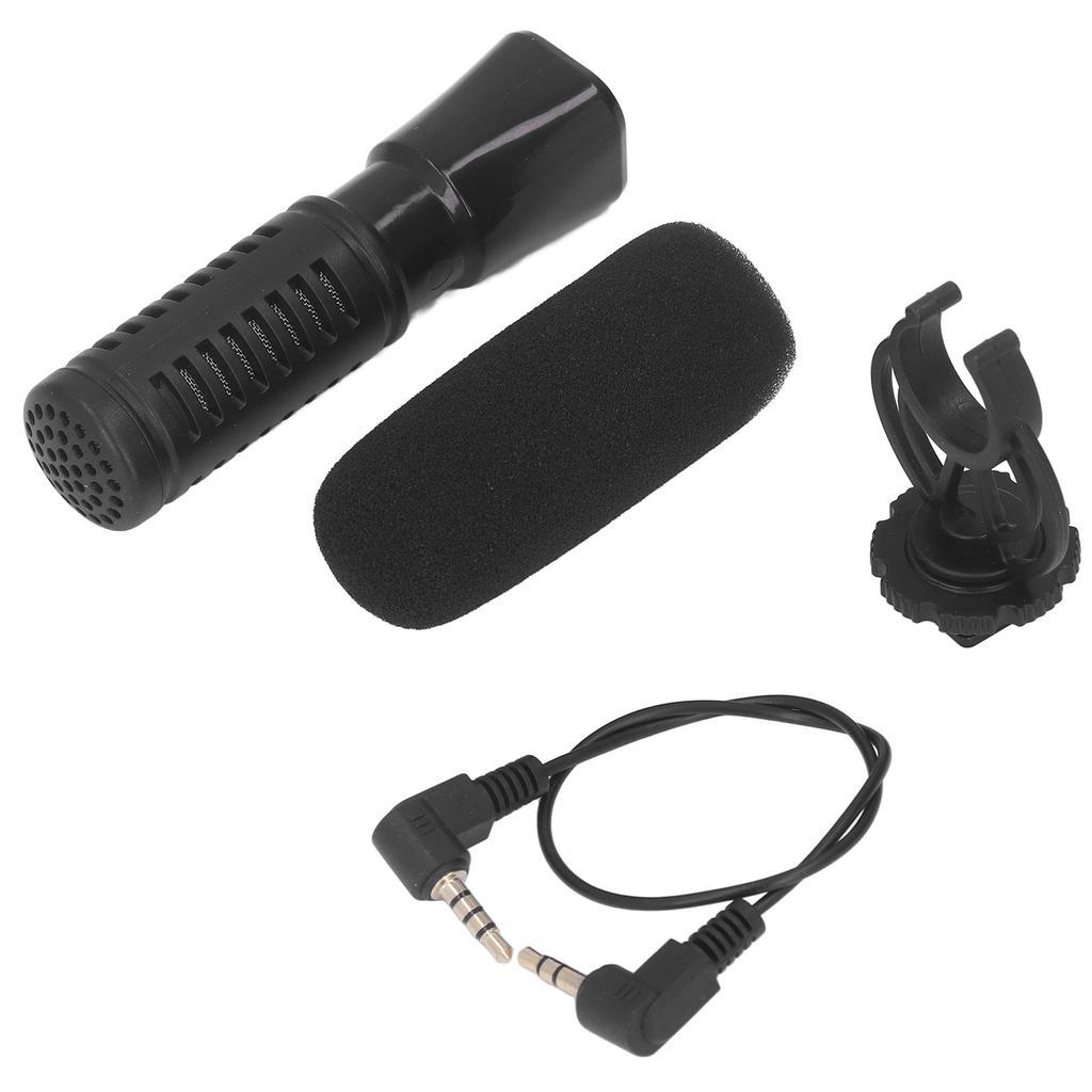 Professional Camcorder Mic Interview Shooting Microphone Video ...