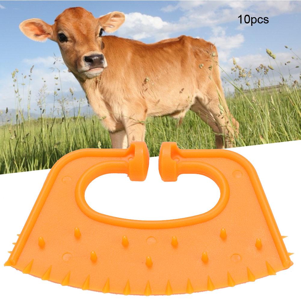 Buy Cow Weaner, 10 Pcs Calf Weaner, for Cow Calf Household Farm Cattle ...