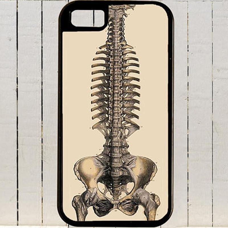 Buy Anatomical Drawing Of The Human Spine iPhone 4 5 6 7s Plus 8 X Case ...