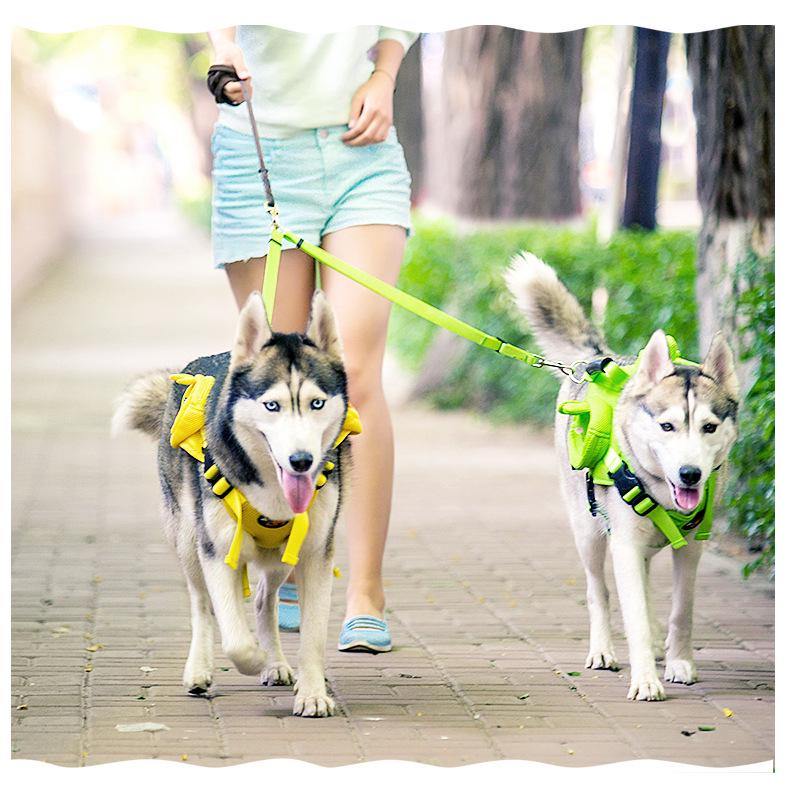 Buy Pet Double Haulage Rope Big Dog One Dragging Two Golden Rope Pet ...