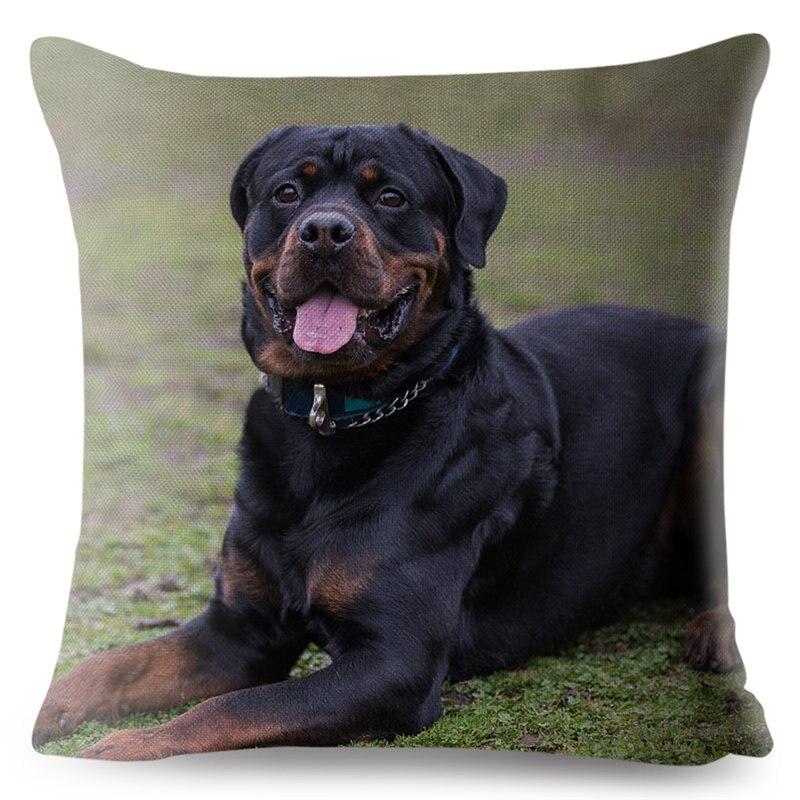 Buy Germany Loyalty Rottweiler Dog Pillow Cover 45x45cm Cushion Covers ...