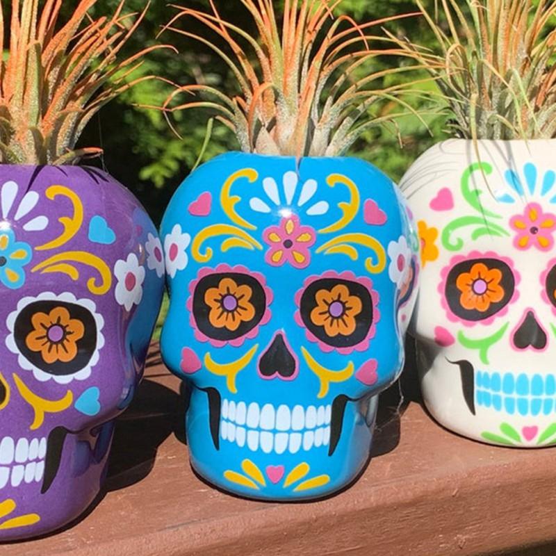 Skull Planter Suger Holder Resin Flower Succulents Pot Skeleton ...