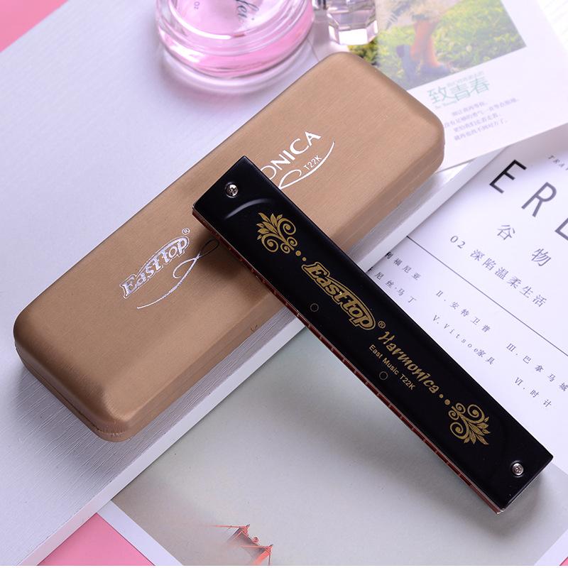 Adult Wind Instrument C Key 22-hole Polyphonic Harmonica uygun fiyatlı ...