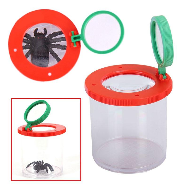 Buy Box Kids Biology Insect Bug Magnifying Creative Cylinder-shaped ...