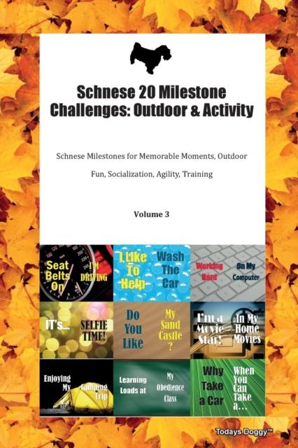 Cheap Schnese 20 Milestone Challenges : Outdoor & Activity Schnese ...