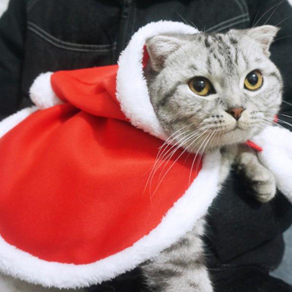 Buy Pet Cloak With Cap Christmas Cat Costume Sturdy Washable Pet Hoodie ...