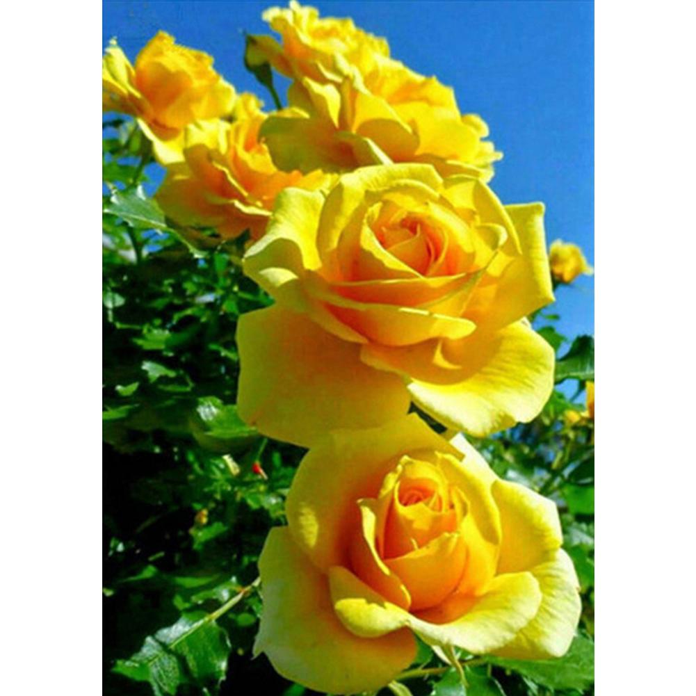 Buy Yellow Rose Diamond Painting 5D DIY Full Round Drill Picture ...