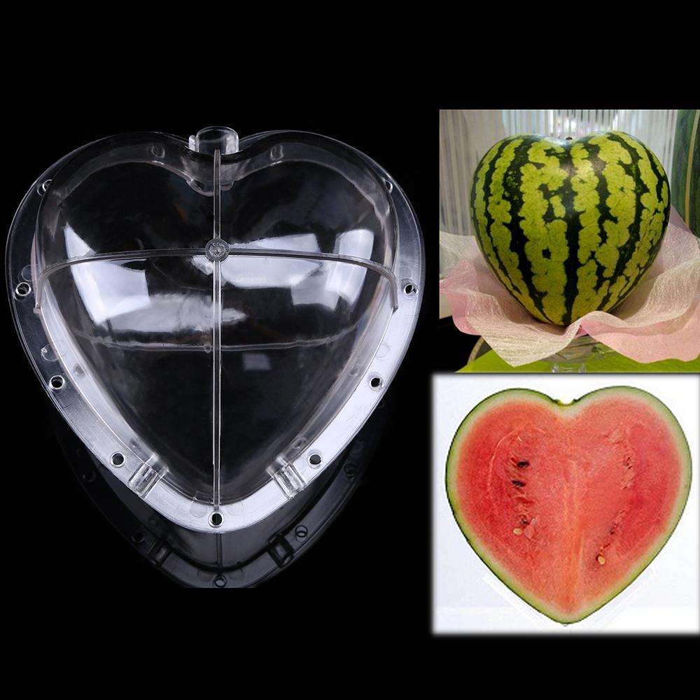 Buy Large Heart-shaped Watermelon Mold Transparent Fruit Growth Forming ...