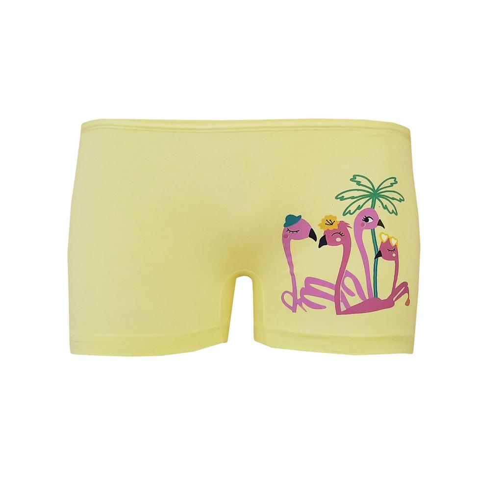 Buy 10 Pcs Girl Child Boxer Colorful Printed Cotton Cheerful at ...