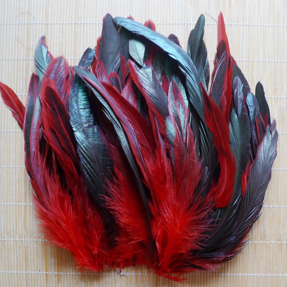 Buy Beautiful Rooster Tail Feather Multicolor Home Decor Clothing ...