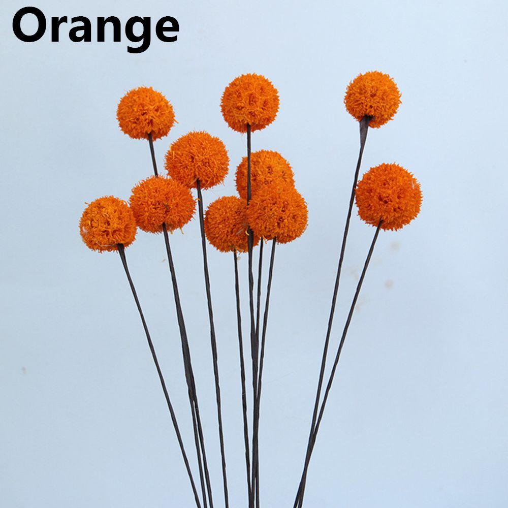 Αγοράστε Decoration DIY Craft Shooting Props Natural Material Dried ...