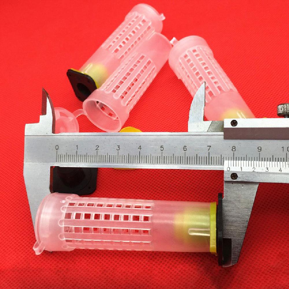Buy Bee Queen Protection Cage Queen Wangtaipu Bee Cage Bee Equipment ...