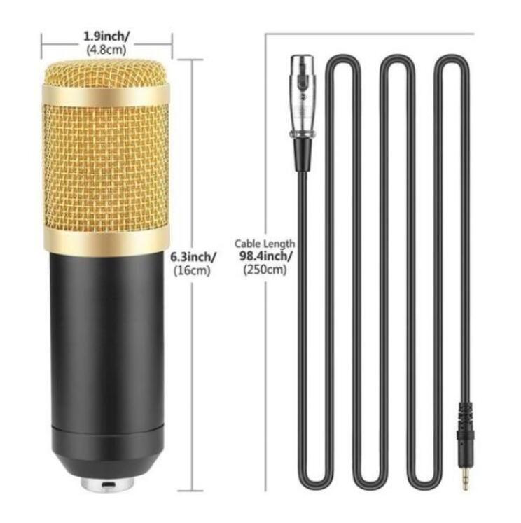 Buy Bm 800 ZINGYOU Cool Microphone Kit Pro Audio Studio Recording ...