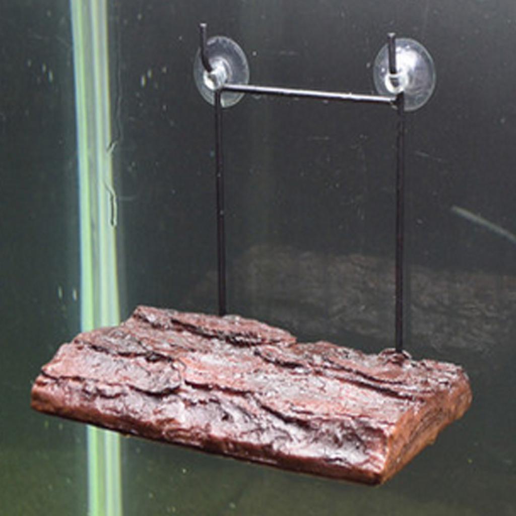 Reptile Turtle Pier Terrapin Floating Dock Basking Island Platform Ramp ...