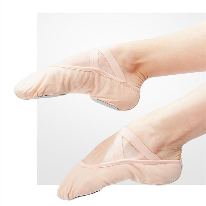 Buy Women Ballet shoes Dance Adult Ballet Slippers Soft Sole Canvas ...