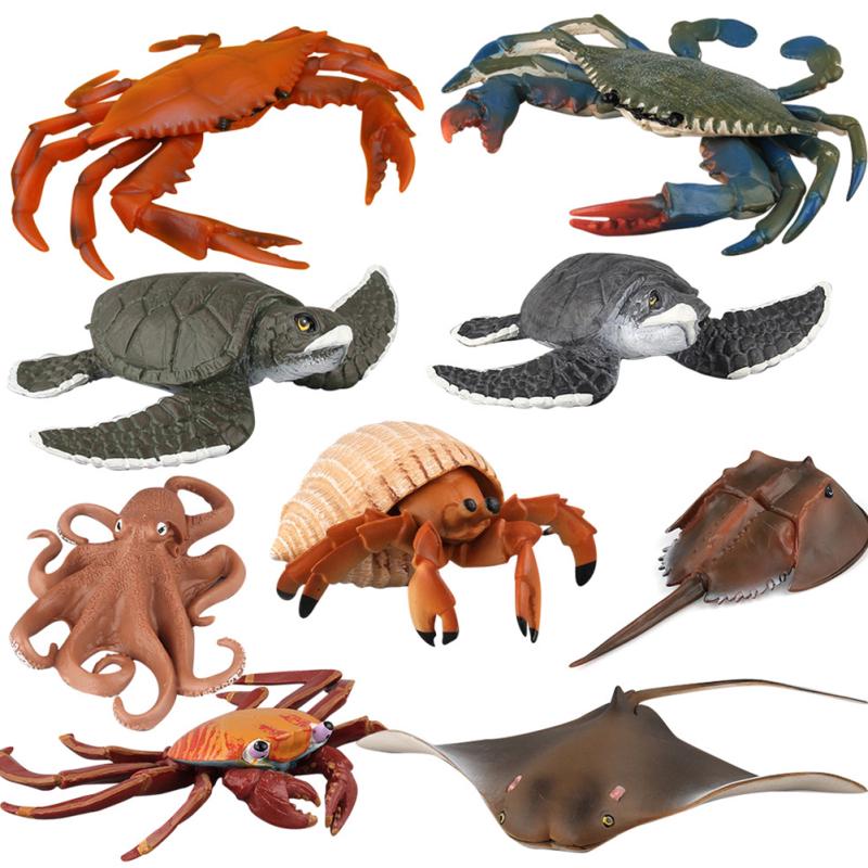 Buy Simulation Sea Animal Modeling Educational Collection Toy for Kids ...
