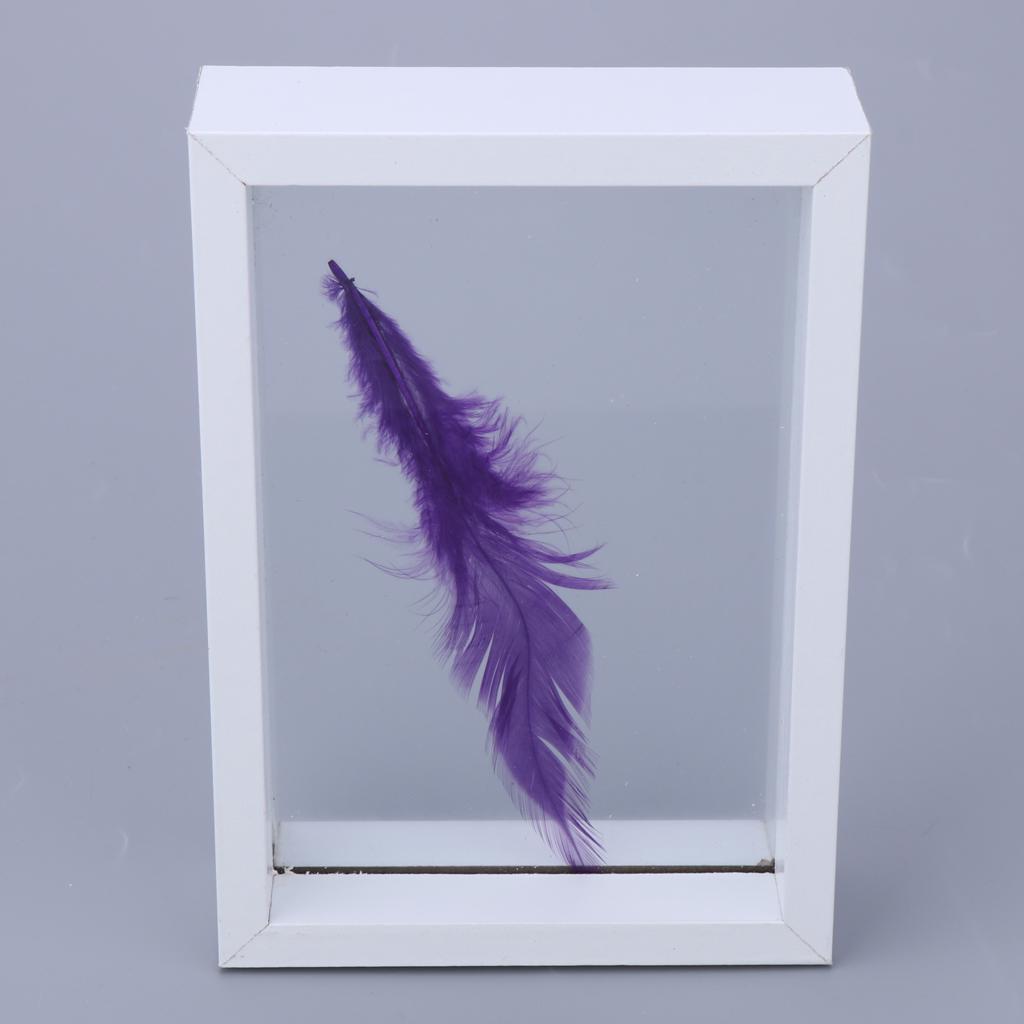 Cheap Doublesided Glass specimen frame, DIY plant insect wood frame ...