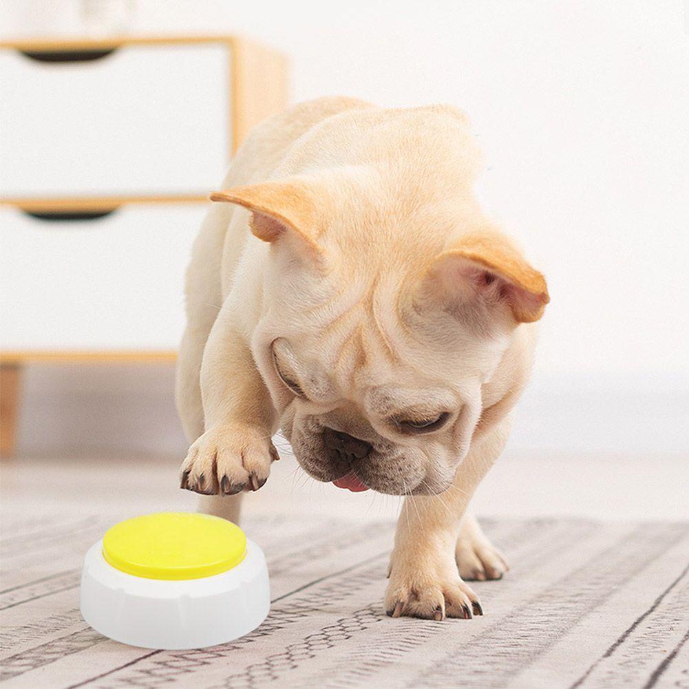 Buy Pet Training Interactive Answering Toy Pet Dog Speaking Vocal ...