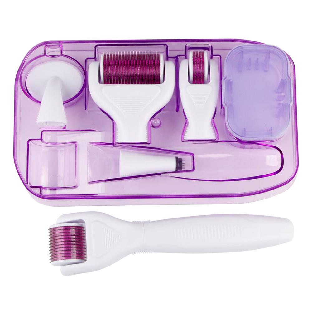 Buy 1 Set 6 In 1 Micro Needle Roller Microneedle Derma Roller Facial ...